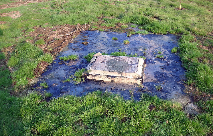 7 Main Causes Of Septic Backup & How To Avoid Them ‐ Big Blue Plumbing