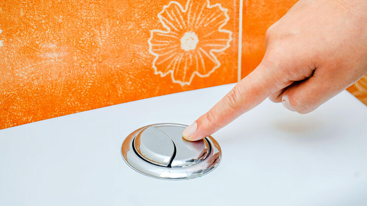 Secrets of Dual Flush Toilets: How They Save Water & Money ‐ Big Blue ...