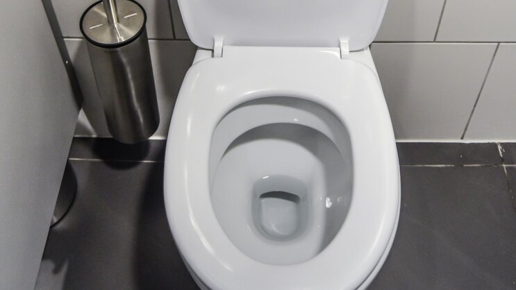 Shocking Truth About Toilet Water Ratings in Australia ‐ Big Blue Plumbing