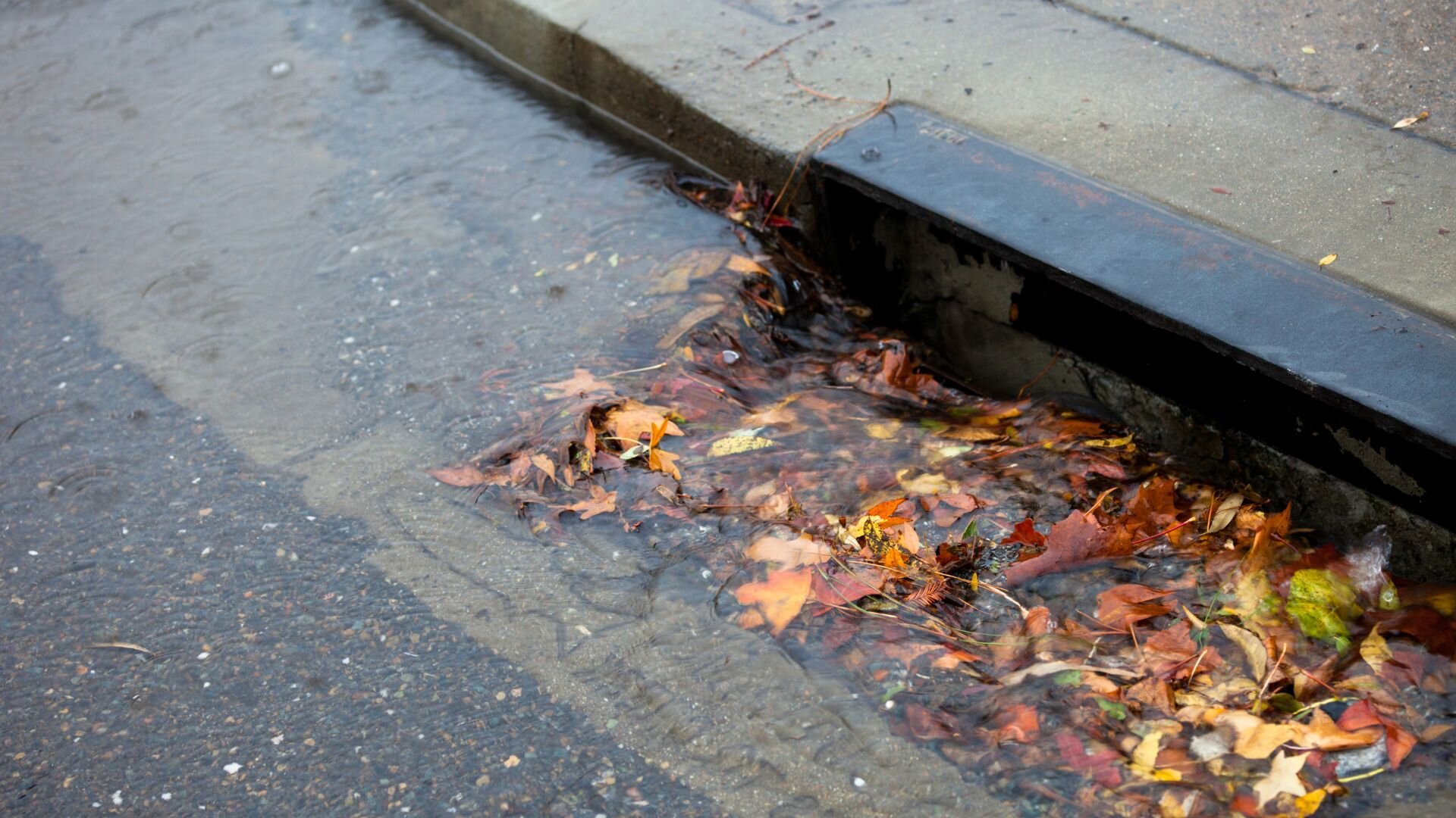 How to Handle Stormwater EmergenciesSilver Drains