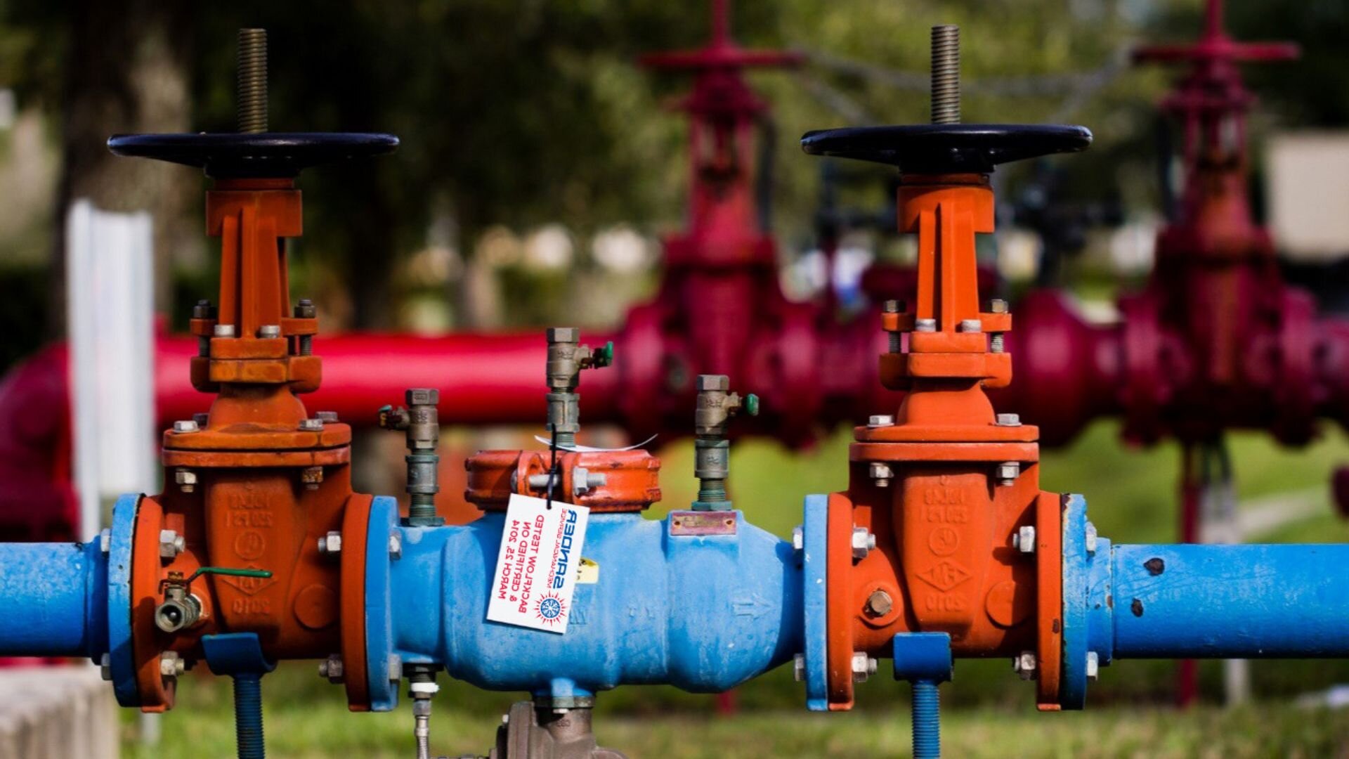 Backflow Prevention 101: Safeguarding Your Water Supply ‐ Woolf Plumbing