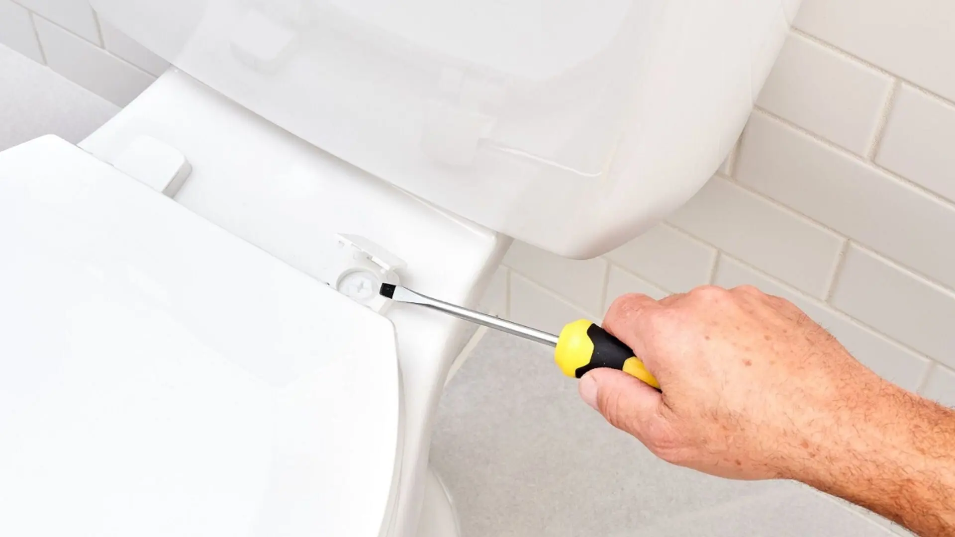 Toilet seat bolts store
