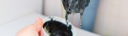 What Are The Common Causes Of Blocked Drains WP Plumbing