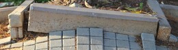 How To Avoiding Tree Roots Damaging Your Pipes Plumbing WP Plumbing
