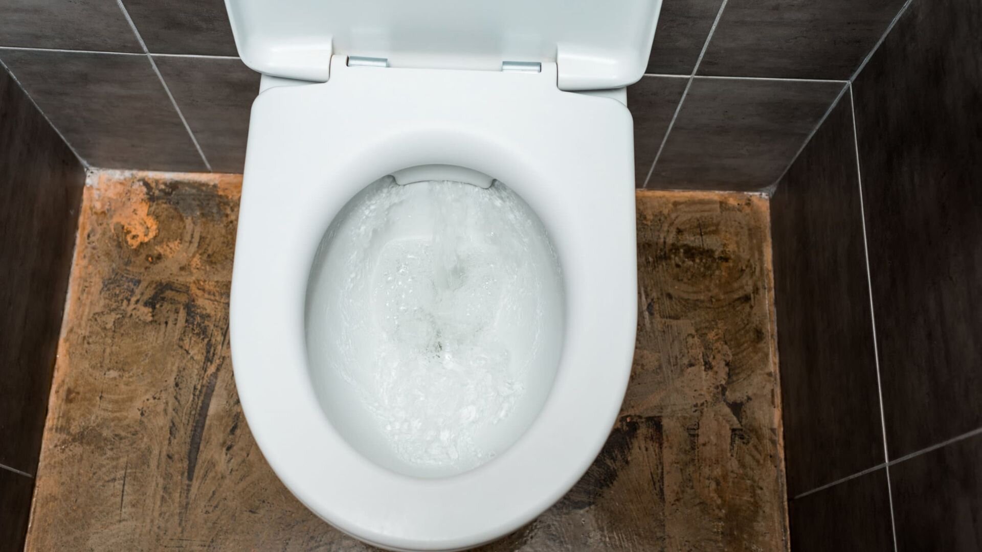 A Guide To Common Residential Plumbing Problems And Solutions - WP Plumbing ‐ WP Plumbing