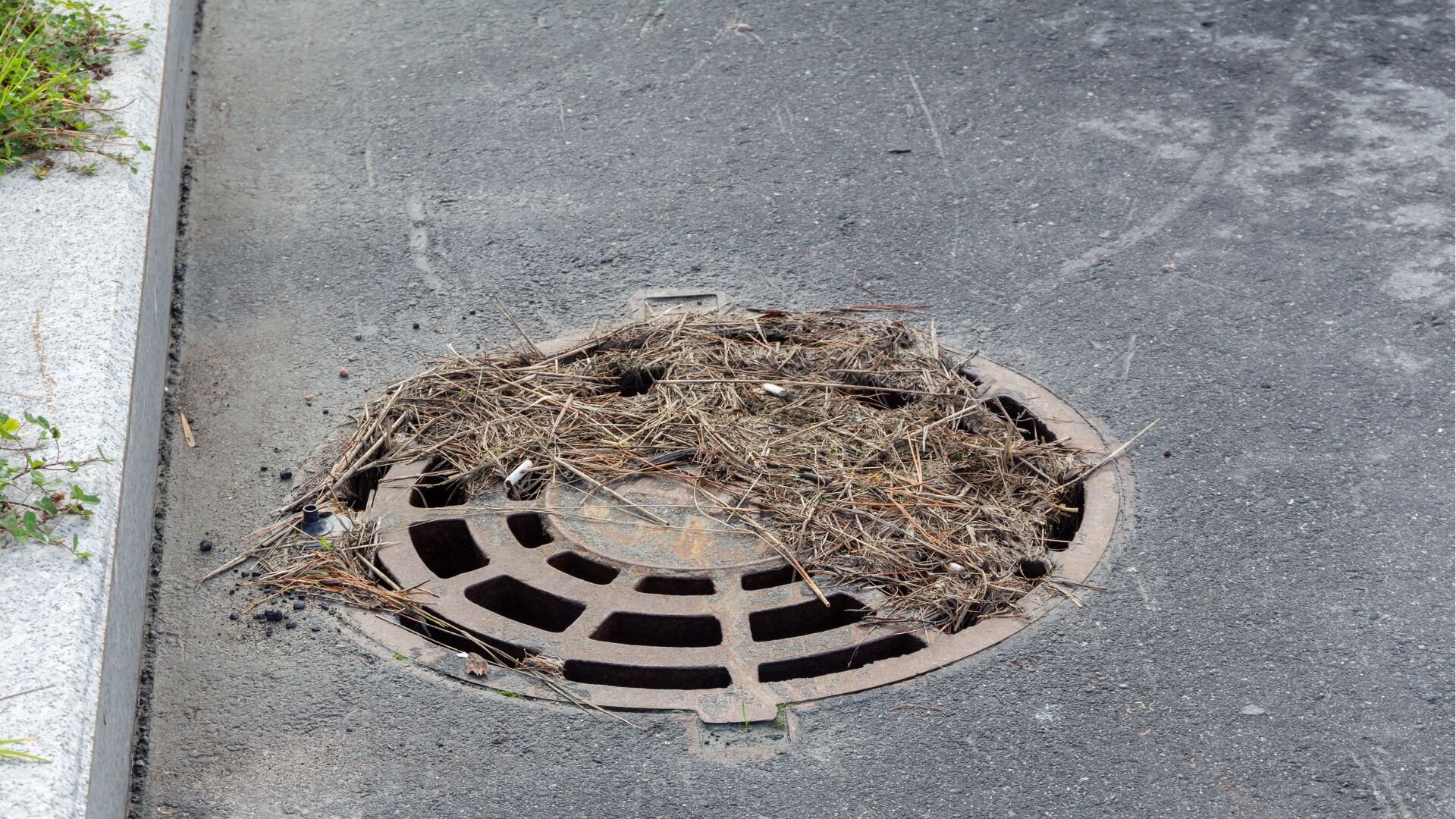 Understanding and Preventing Blocked Stormwater Drains ‐ WP Plumbing