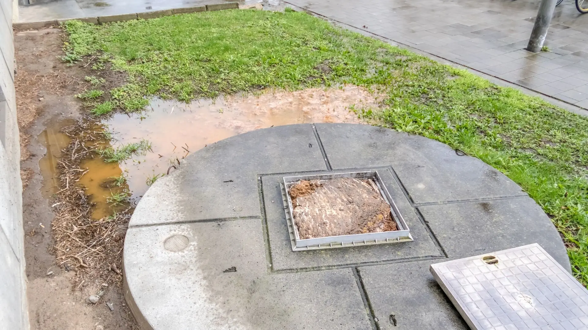 How to Fix a Sewer Overflow in Your Backyard: A Step-by-Step Guide ‐ WP ...